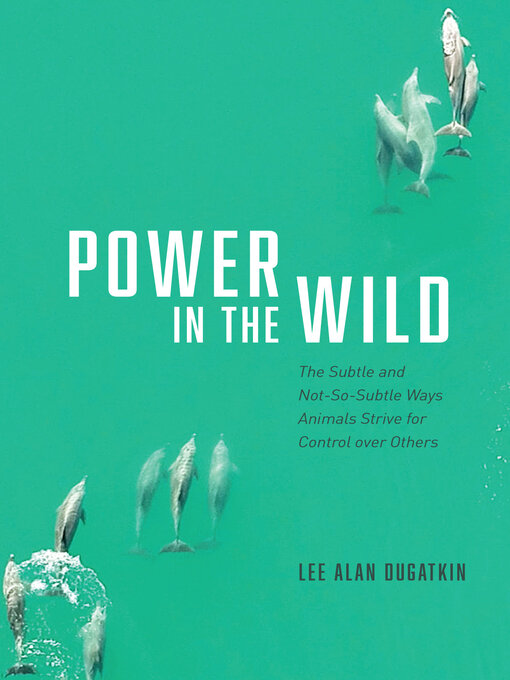 Libby - Power in the Wild